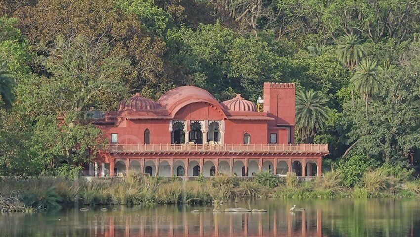 Visit Padam Talao: A Hidden Gem in Ranthambore